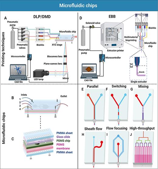 The potential of microfluidics-enhanced extrusion bioprinting ...