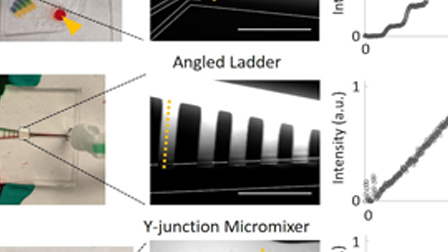 Microfluidic devices fitted with “flowver” paper pumps generate steady ...