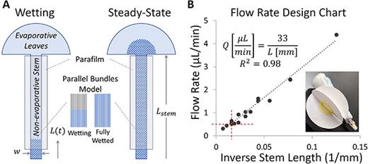 Microfluidic devices fitted with “flowver” paper pumps generate steady ...