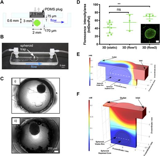 Spheroid-on-chip microfluidic technology for the evaluation of the impact of continuous flow on ...