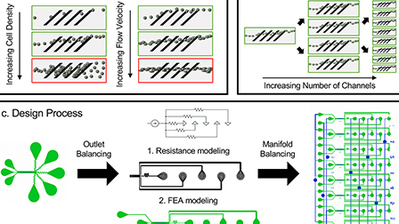 Scaling microfluidic throughput with flow-balanced manifolds to simply ...