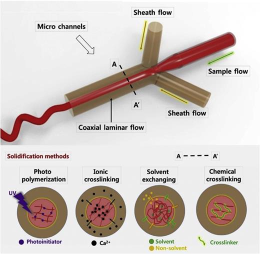 Microfluidic-assisted fiber production: Potentials, limitations, and ...