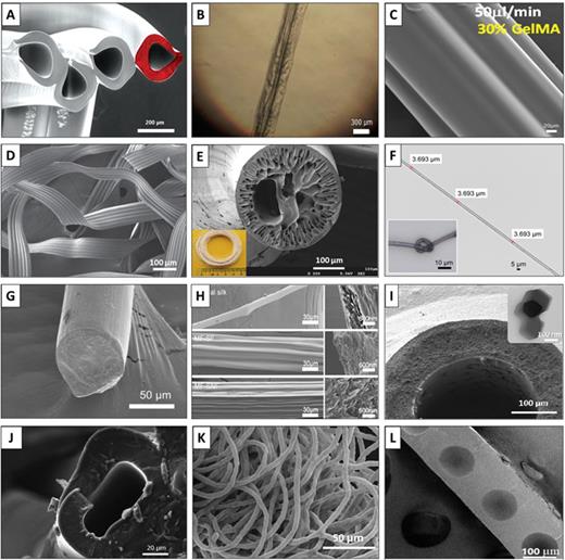 Microfluidic-assisted fiber production: Potentials, limitations, and ...