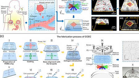3D collagen microchamber arrays for combined chemotherapy effect ...