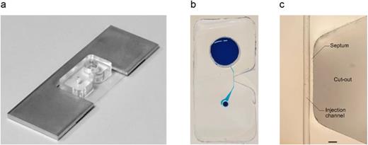 Microinjection in C. elegans by direct penetration of elastomeric ...