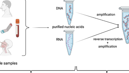 Advances in point-of-care genetic testing for personalized medicine ...