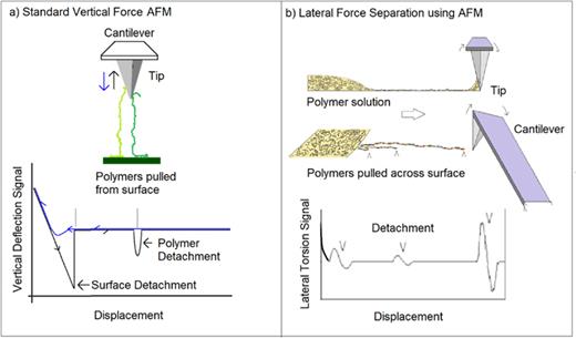 Lateral force separation of biopolymers using an atomic force ...