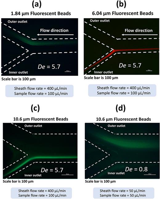 Continuous separation of bacterial cells from large debris using a ...