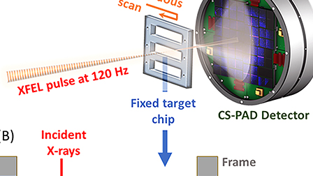 All polymer microfluidic chips—A fixed target sample delivery workhorse ...