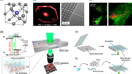 Diamond quantum sensors in microfluidics technology | Biomicrofluidics ...