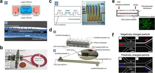 Gas transport mechanisms through gas-permeable membranes in ...