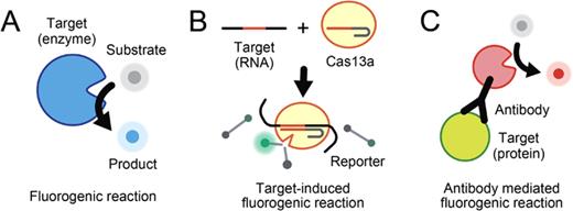 Toward versatile digital bioanalysis | Biomicrofluidics | AIP Publishing