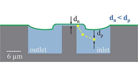 Nano/microfluidic device for high-throughput passive trapping of ...