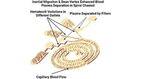 Dean vortex-enhanced blood plasma separation in self-driven spiral microchannel flow with cross ...
