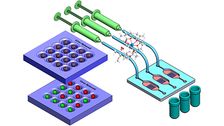 Hepatic spheroid-on-a-chip: Fabrication and characterization of a ...