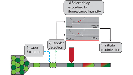 Manipulating the duration of picoinjection controls the injected volume ...