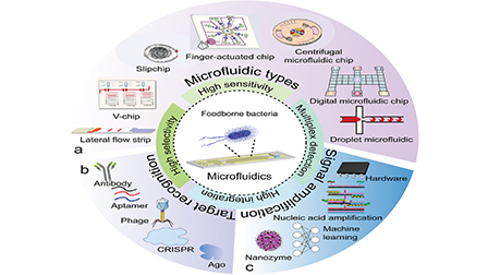 Microfluidics for foodborne bacteria analysis: Moving toward multiple ...
