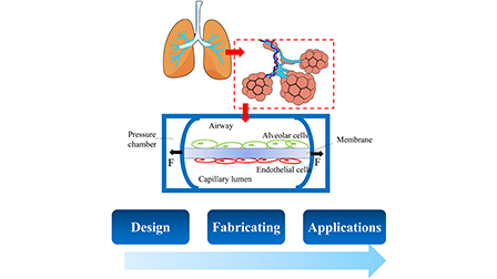 Lung-on-a-chip: From design principles to disease applications ...
