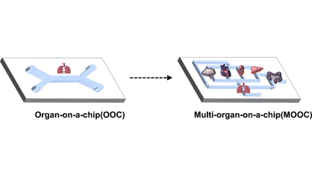 Multi-organ-on-a-chip: Modeling strategy, method, and biomedical ...