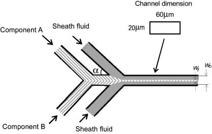 Focusing-enhanced mixing in microfluidic channels | Biomicrofluidics ...