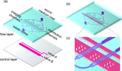 A programmable microvalve-based microfluidic array for characterization ...