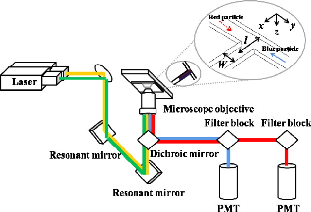 Simultaneous measurement of concentrations and velocities of submicron ...