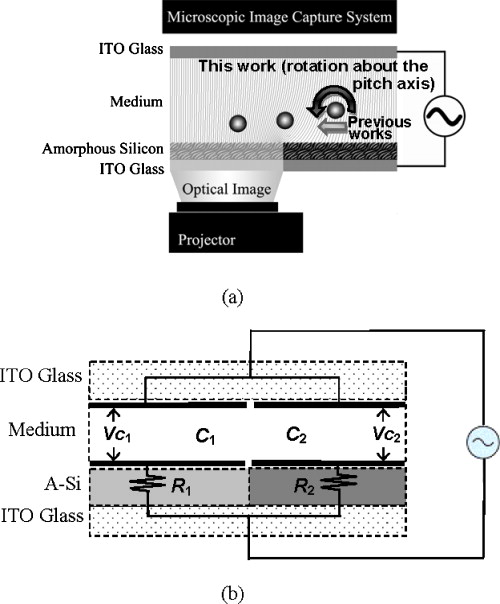 Cell rotation using optoelectronic tweezers | Biomicrofluidics | AIP ...