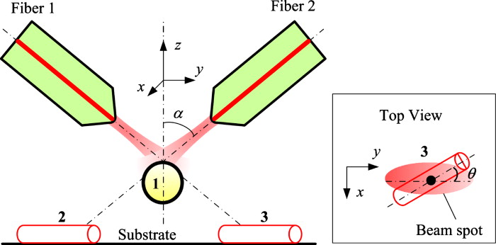 Optical manipulation and binding of microrods with multiple traps ...