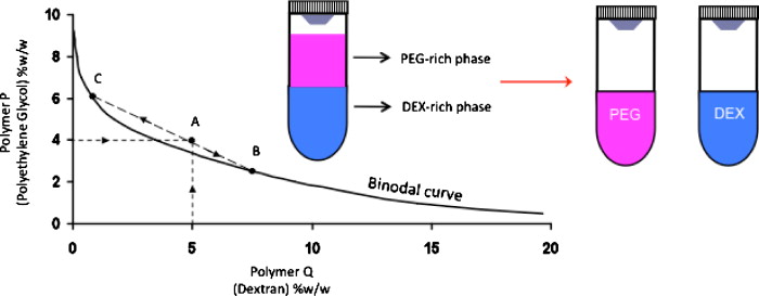 Aqueous biphasic microprinting approach to tissue engineering ...