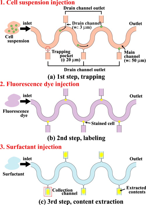 High-throughput single-cell manipulation system for a large number of ...