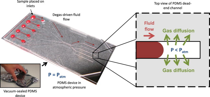 Systematic characterization of degas-driven flow for poly ...