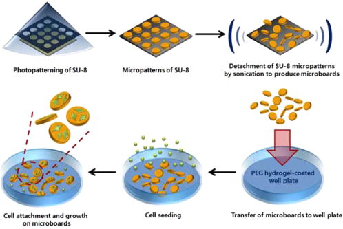 Non-positional cell microarray prepared by shape-coded polymeric ...