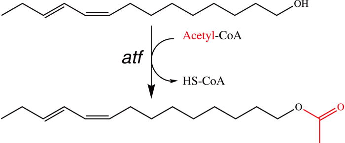 Pheromone synthesis in a biomicroreactor coated with anti-adsorption ...