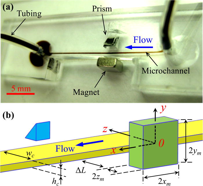 Three-dimensional diamagnetic particle deflection in ferrofluid ...