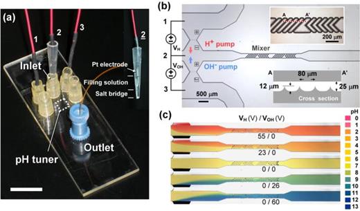 Microscale pH regulation by splitting water | Biomicrofluidics | AIP ...