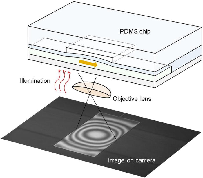 Optofluidic membrane interferometer: An imaging method for measuring ...