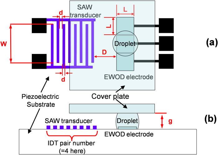 Integrated microfluidics system using surface acoustic wave and ...