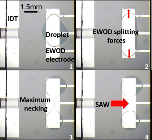 Integrated microfluidics system using surface acoustic wave and ...