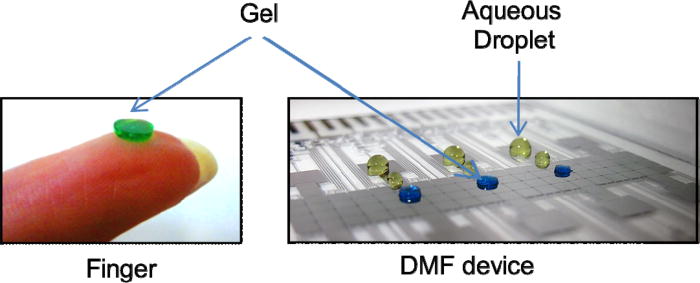 Hydrogel discs for digital microfluidics | Biomicrofluidics | AIP ...