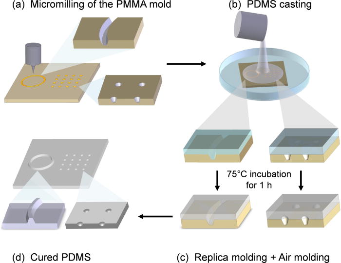 Rapid fabrication of a microdevice with concave microwells and its ...