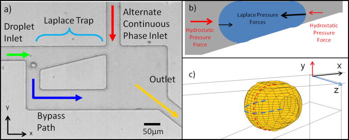 A Laplace pressure based microfluidic trap for passive droplet trapping ...