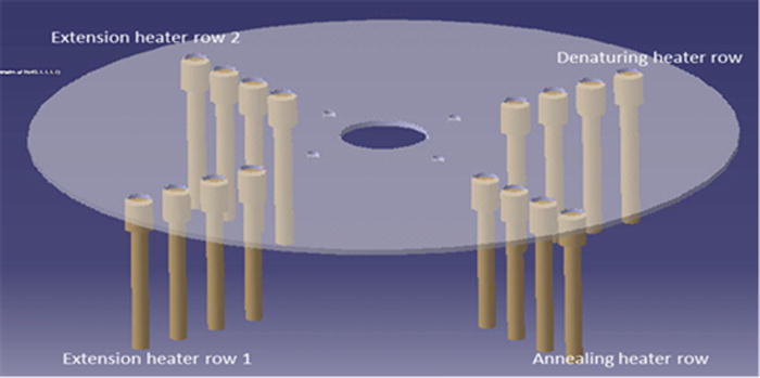 Rapid multi sample DNA amplification using rotary-linear polymerase ...