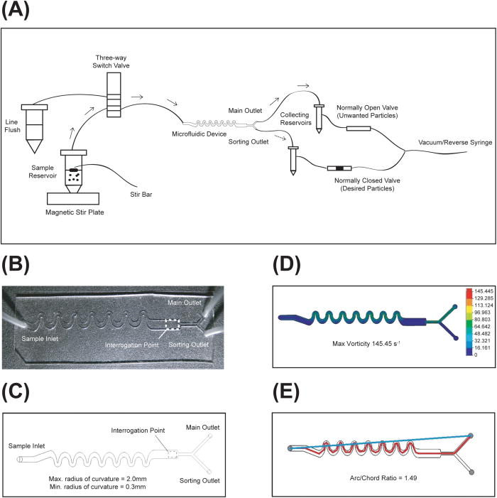 Microfluidic sorting of microtissues | Biomicrofluidics | AIP Publishing