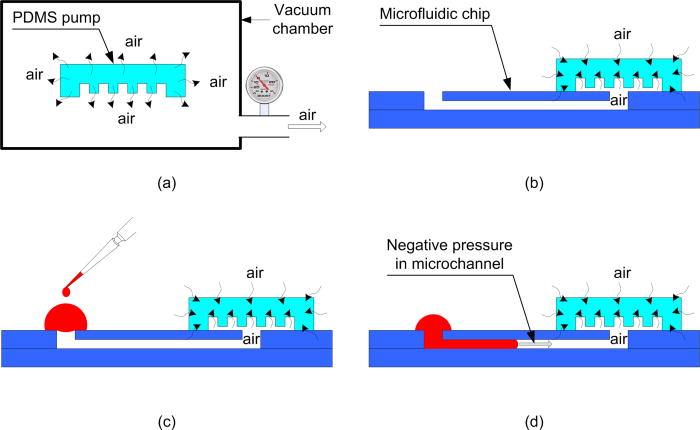 A “place n play” modular pump for portable microfluidic applications ...