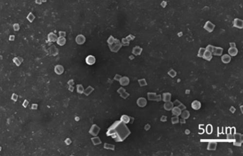 Calcium carbonate polymorph control using droplet-based microfluidics ...