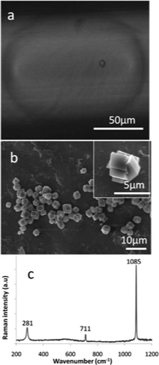 Calcium carbonate polymorph control using droplet-based microfluidics ...