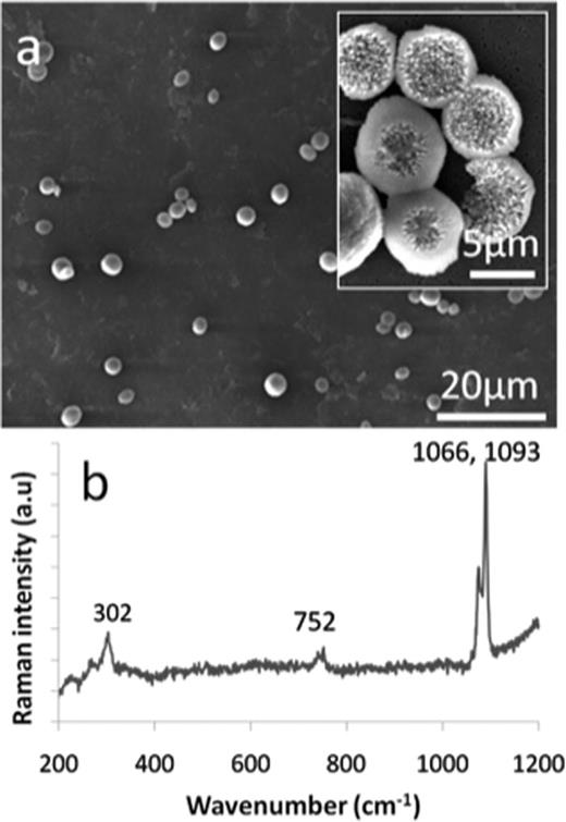 Calcium carbonate polymorph control using droplet-based microfluidics ...