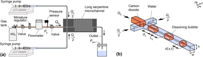 CO2 dissolution in water using long serpentine microchannels ...