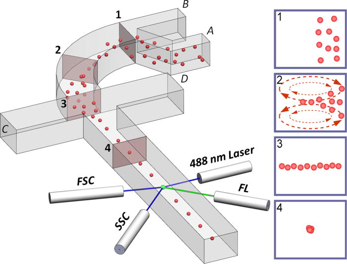 An integrated, multiparametric flow cytometry chip using “microfluidic ...