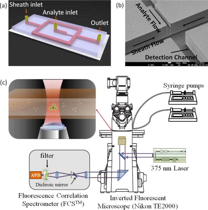 Microfluidic three-dimensional hydrodynamic flow focusing for the rapid protein concentration ...